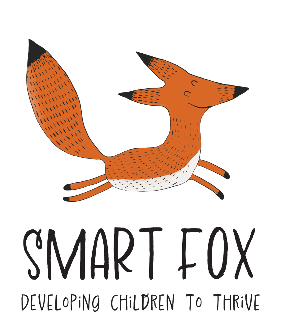 Smart Fox Boxes – SmartFoxBox