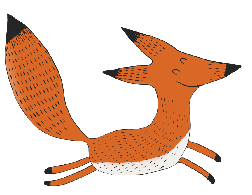 SmartFoxBox – Developing Children To Thrive